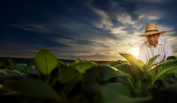 Fertisa y su compromiso con el desarrollo de la agricultura ecuatoriana ...